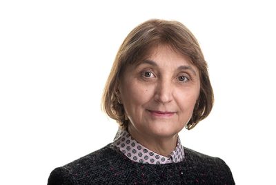 Professors – FABIZ