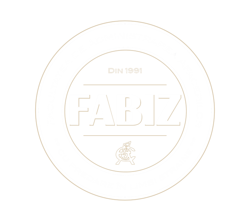 Entrepreneurship school – FABIZ